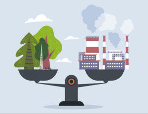 Climate Disclosure Regulations Tips For January 2024- Climate Carbon