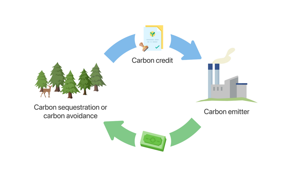 Understanding Carbon Credits - Climate Carbon